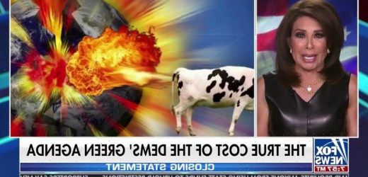 Jeanine Pirro's 'Farting Cow' Meme Bewilders Critics - Big World Tale