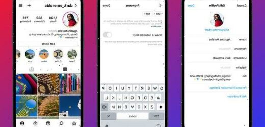 Instagram now lets users add their PRONOUNS - Big World Tale Instagram now lets users add their PRONOUNS - Big World Tale