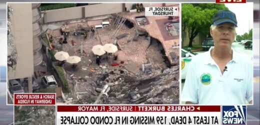 Surfside condo collapse rescue: How dogs search for survivors - Big ...