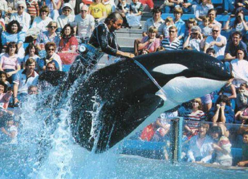 Olivia Rodrigo To Induct Alanis Morissette Into Canadian Songwriters ...