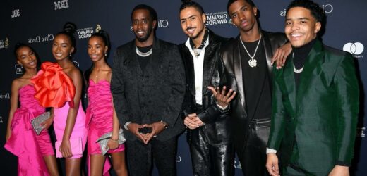 Diddy's Newborn Makes Him a Proud Father of 7 — Meet His Children - Big ...