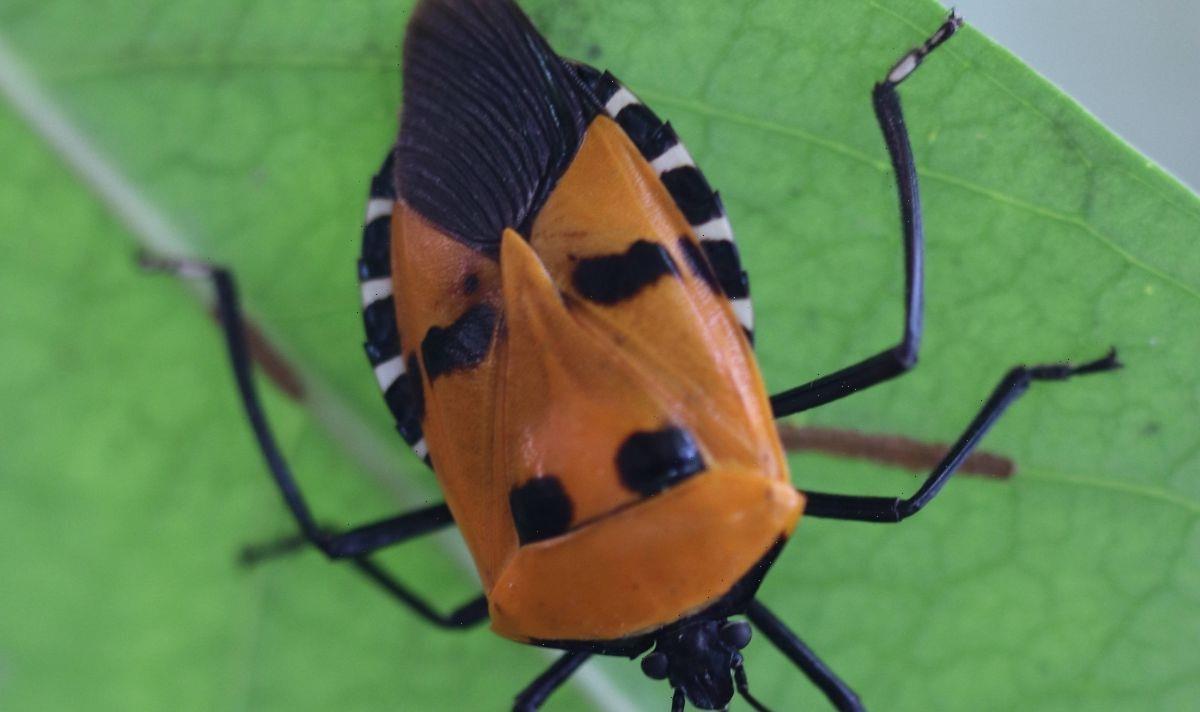 Nicola Bulley's dad reveals 'every day is a struggle' three weeks after ...