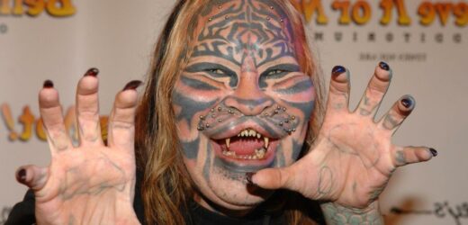 Tragic life of Stalking Cat – plastic surgery fan turned feline before ...
