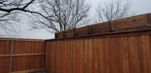 I built a 7ft fence to get some privacy… but my neighbour responded in ...