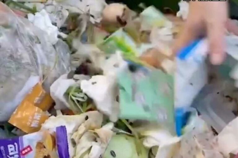 I discovered a treasure trove worth £20,000 in a rubbish bin outside my ...